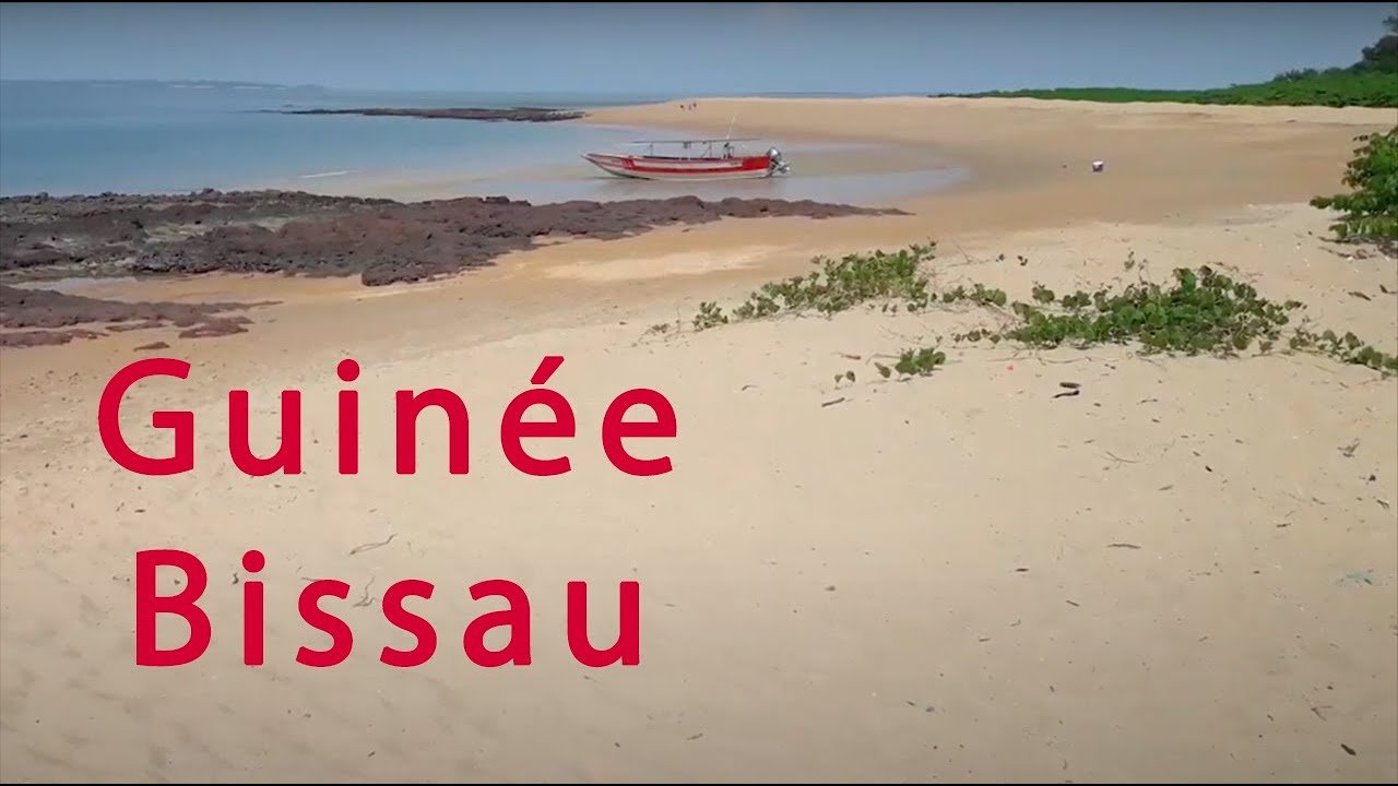 Guinée-Bissau: des tirs entendus au palais présidentiel - Mousso News Guinée-Bissau: des tirs entendus au palais présidentiel - Mousso News