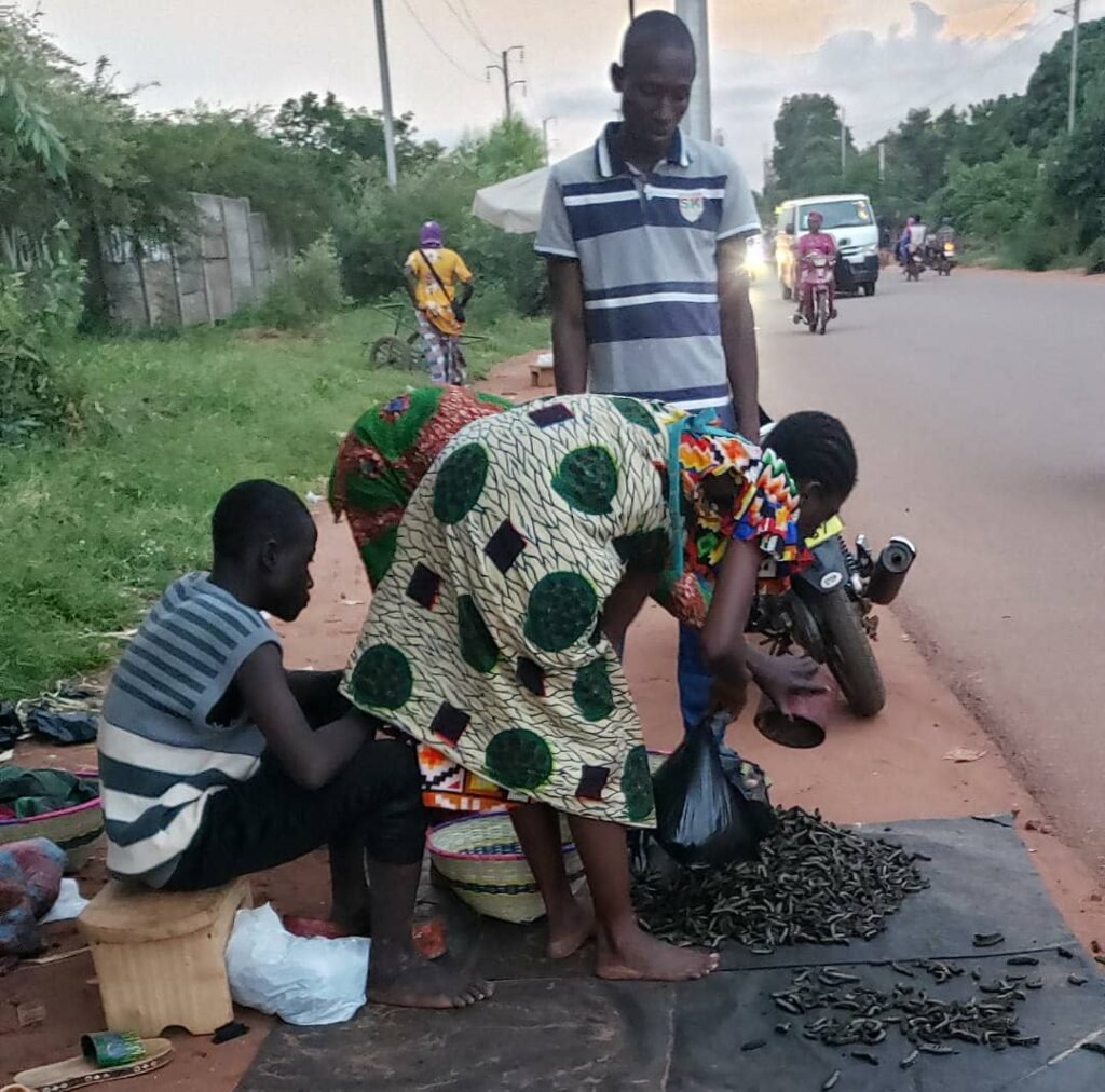 Bobo-Dioulasso : le chitoumou, une importante source financière pour ...
