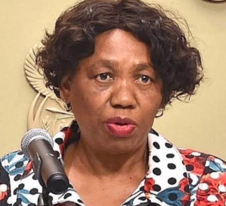 Afrique du Sud : Angie Motshekga nommée présidente par intérim du pays ...